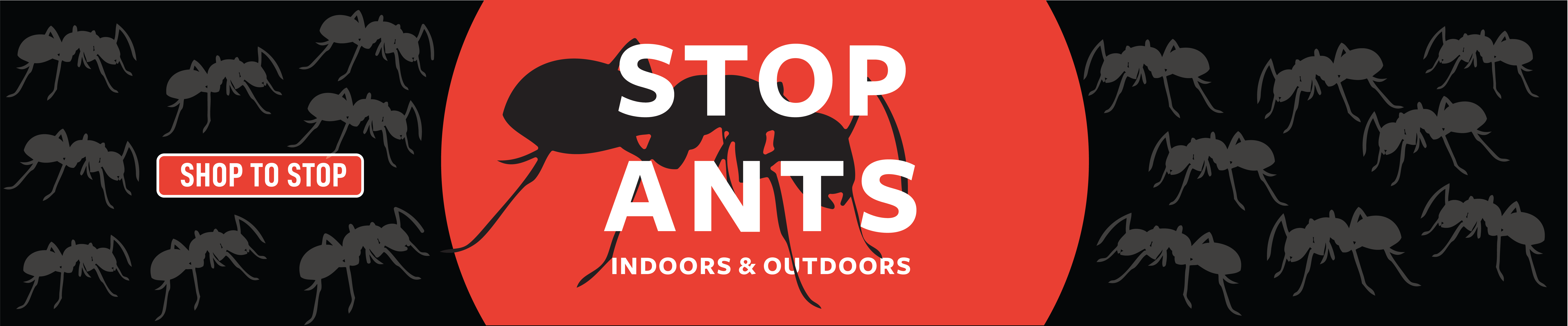 Ant Treatments and Ant Control Approaches – PESTSTOP