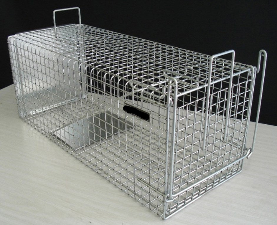Live Capture Cage for Mustelids, Possums & Wild Cats – PESTSTOP